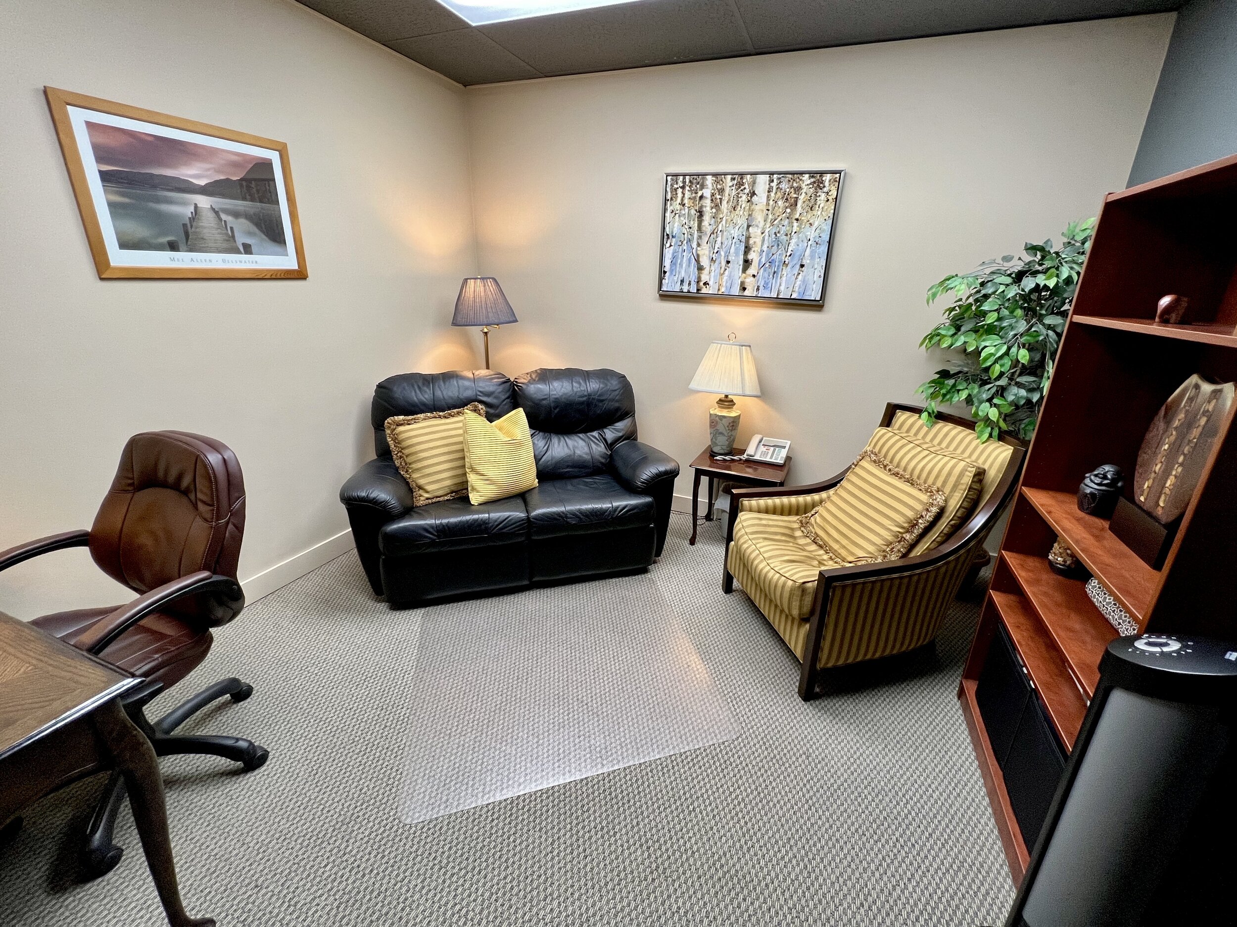 Virtual Office Solutions & Executive Office Rentals