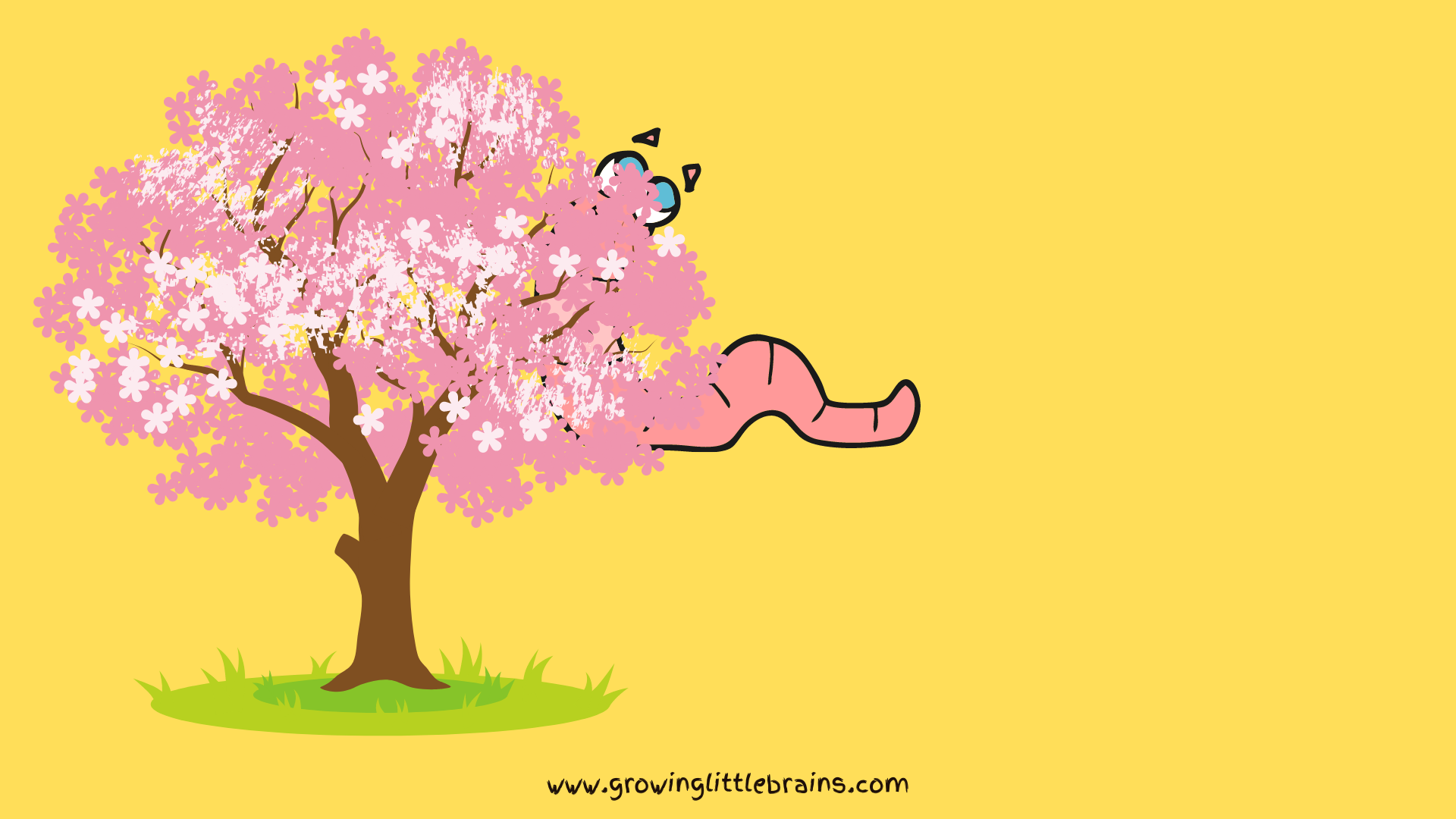 Spring Slide Deck — Growing Little Brains