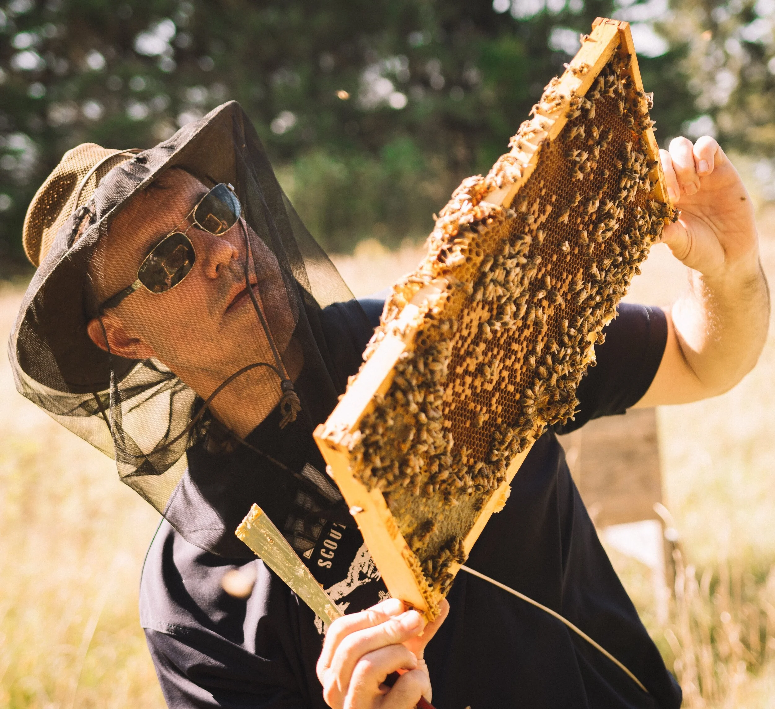 The Bee Shed — Driftless Grown