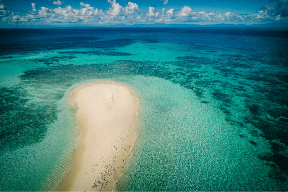 Ocean Impact Organisation