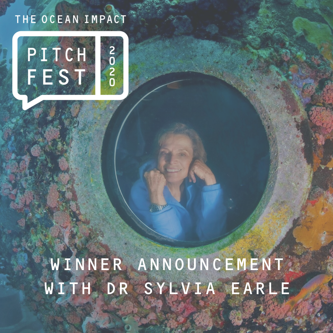THE OCEAN IMPACT PITCHFEST 2020 WINNER AND RUNNERS UP ANNOUNCED — Ocean ...