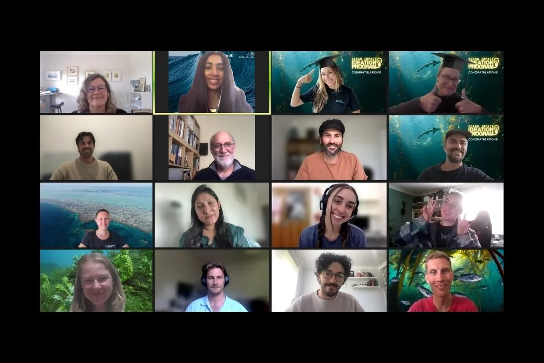 OIO'S SENSATIONAL 2023: Our Year In Review — Ocean Impact Organisation