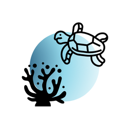 Portfolio — Ocean Impact Organisation
