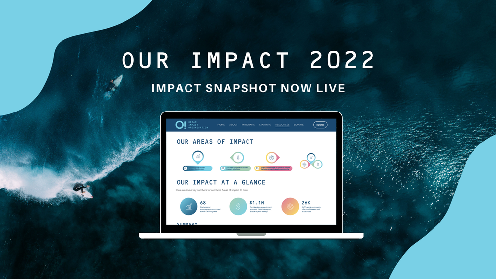 Waves of Change: 11 Key Achievements From Our 2022 Impact Report ...