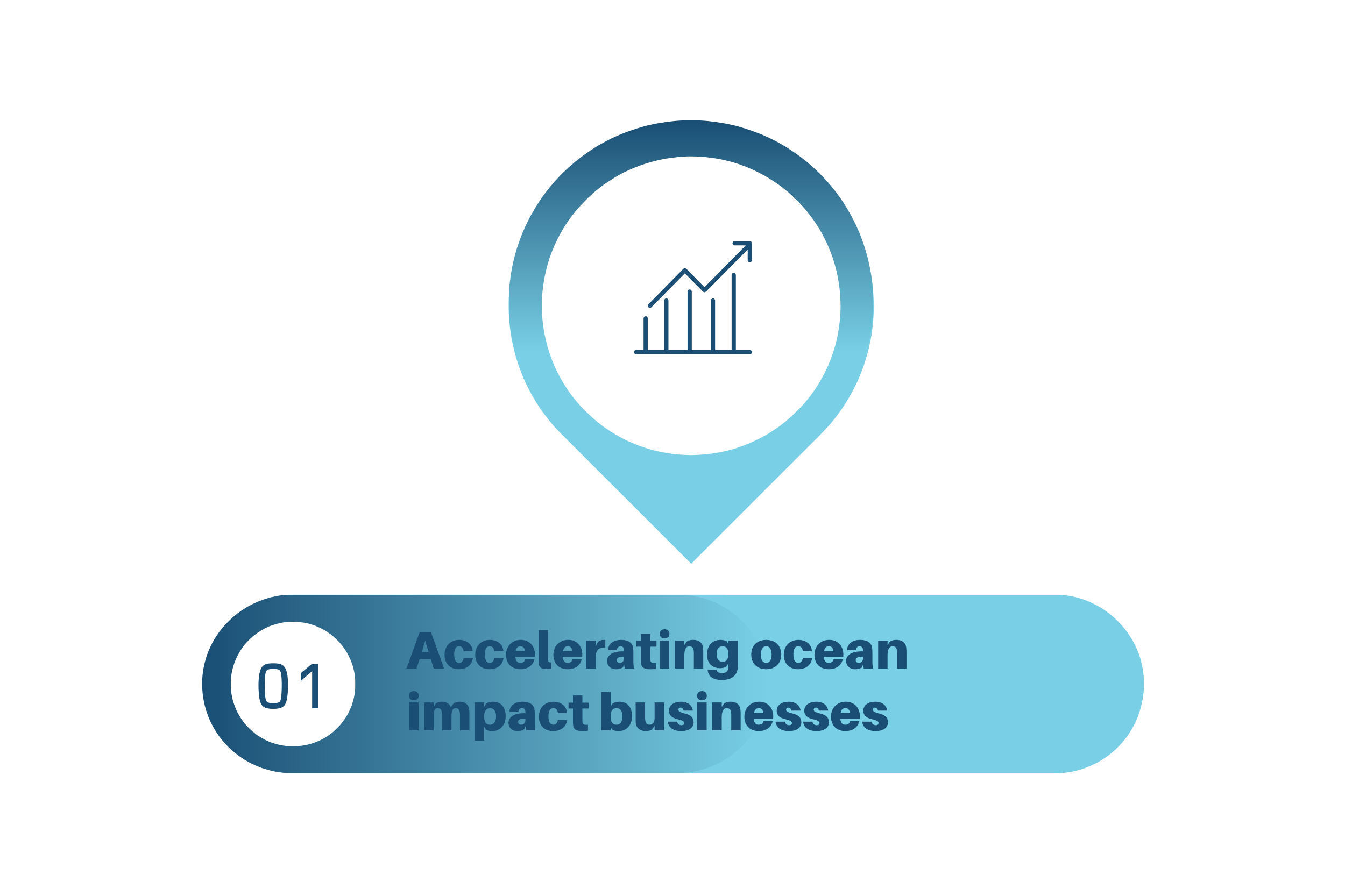 Our 2022 Impact Report Reveals How We're Transforming Ocean Health ...