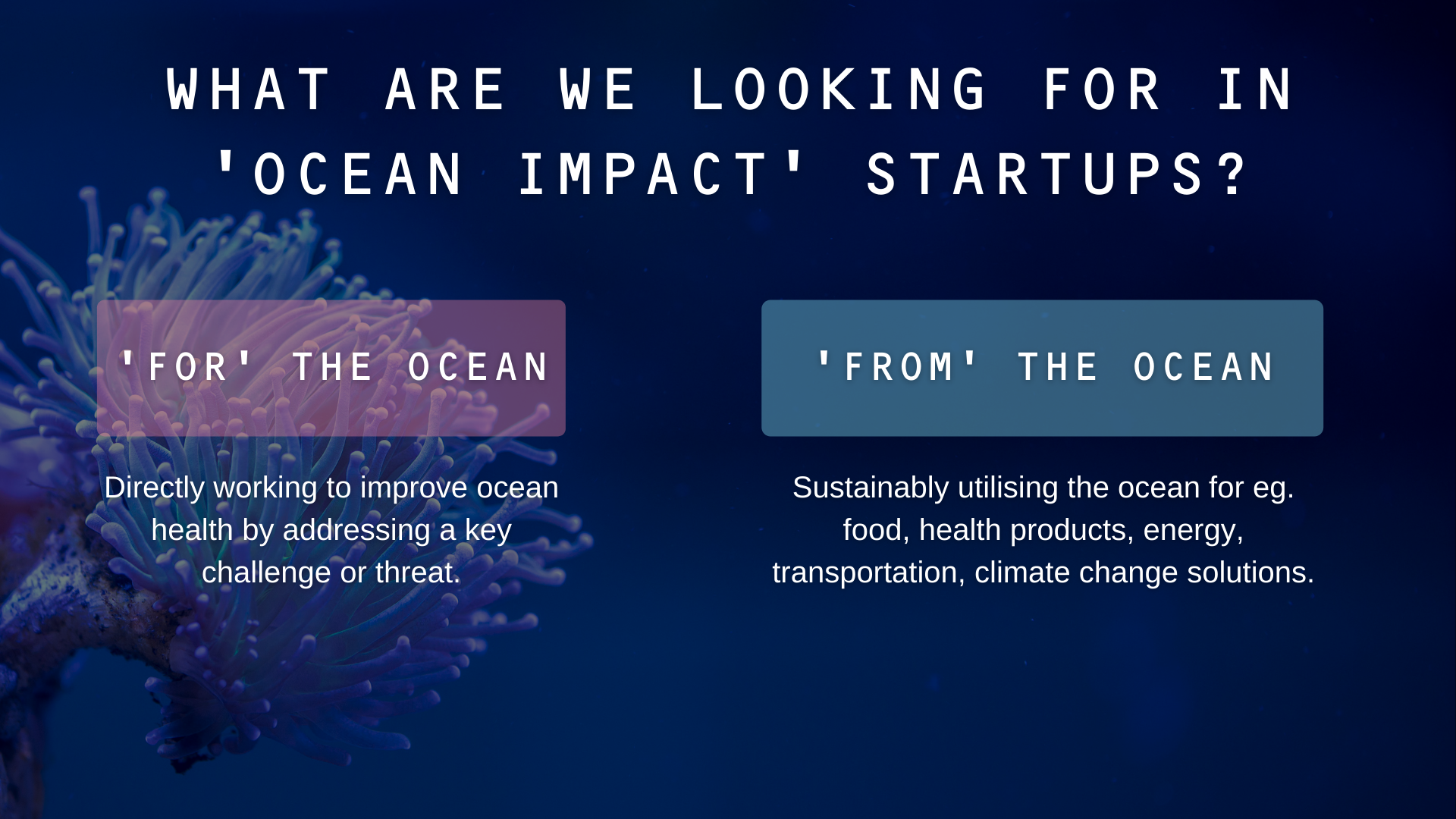 ANNOUNCING: THE LAUNCH OF THE OCEAN IMPACT ACCELERATOR PROGRAM — Ocean ...
