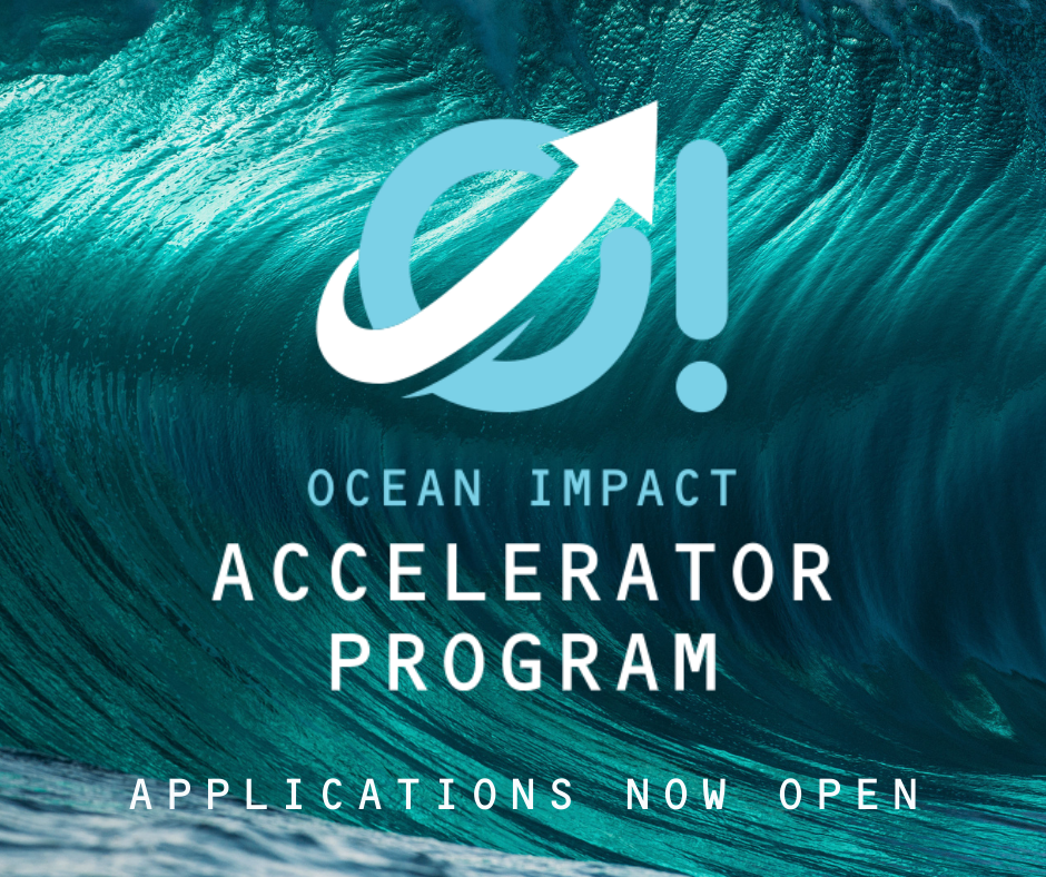 THE OCEAN IMPACT ACCELERATOR PROGRAM 2022 APPLICATIONS NOW OPEN — Ocean ...