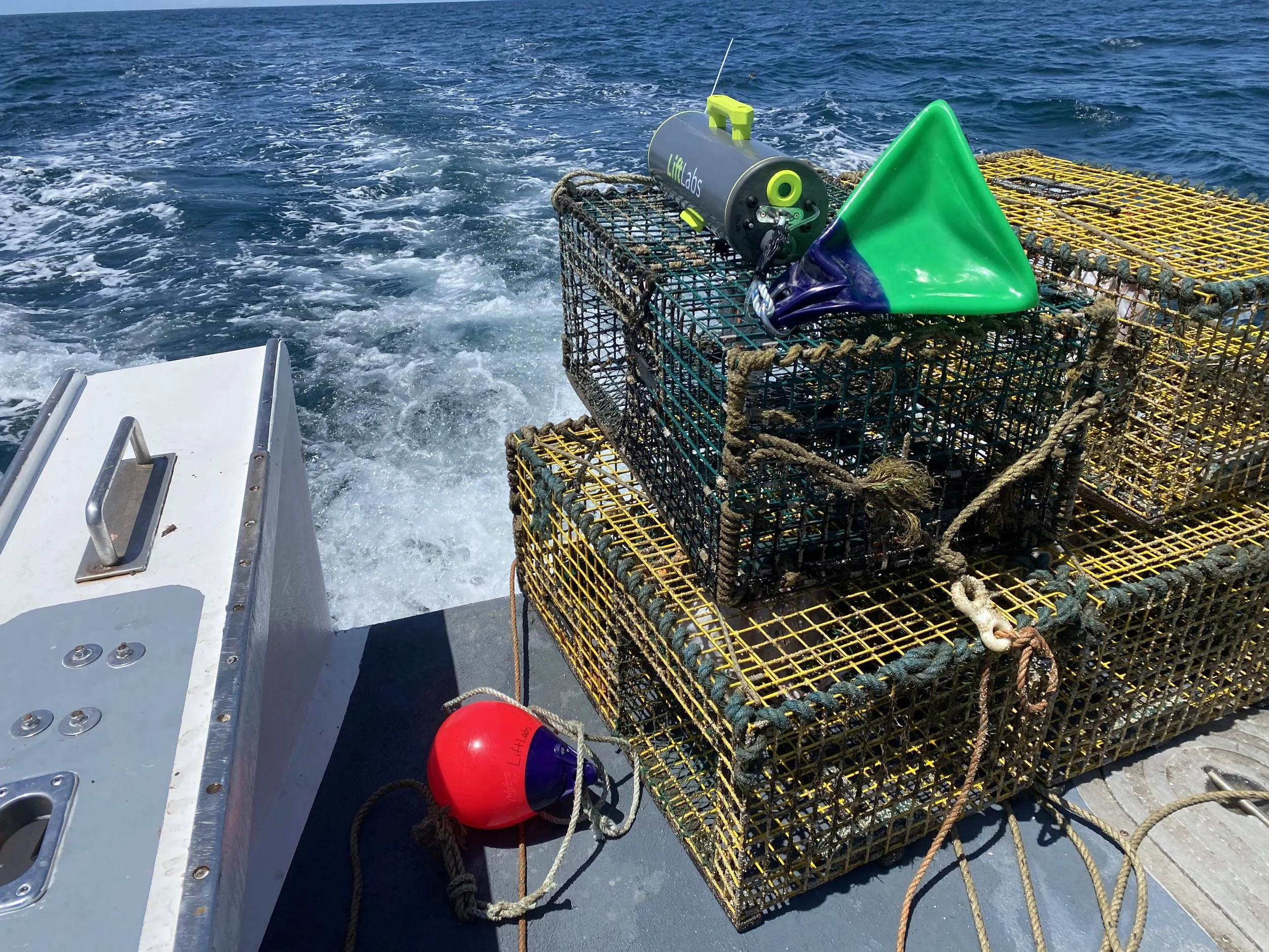 LiftLabs — Ocean Impact Organisation