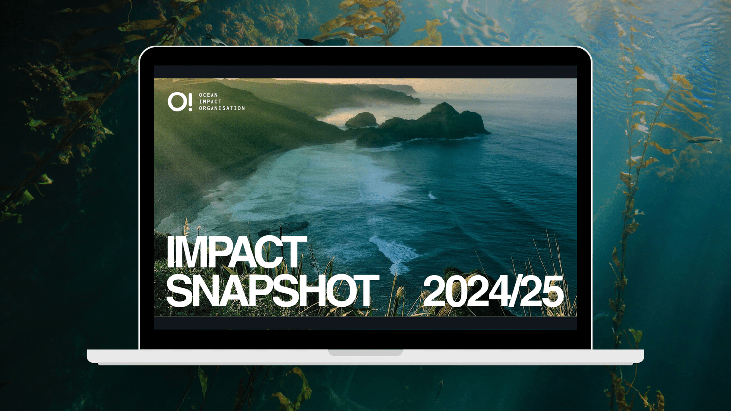 Ocean Impact Organisation
