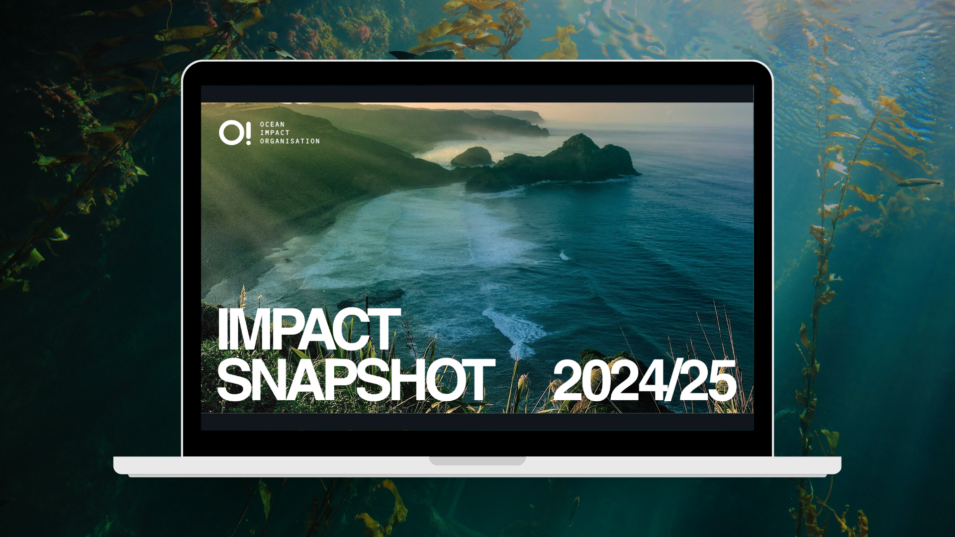Ocean Impact Organisation