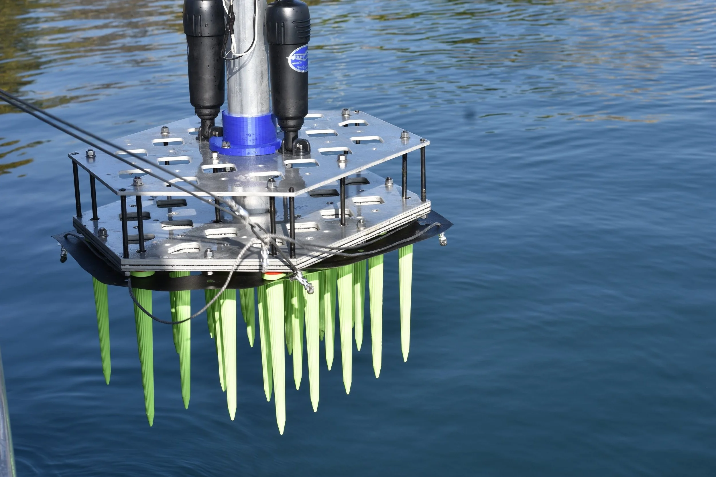 Ocean Impact Organisation