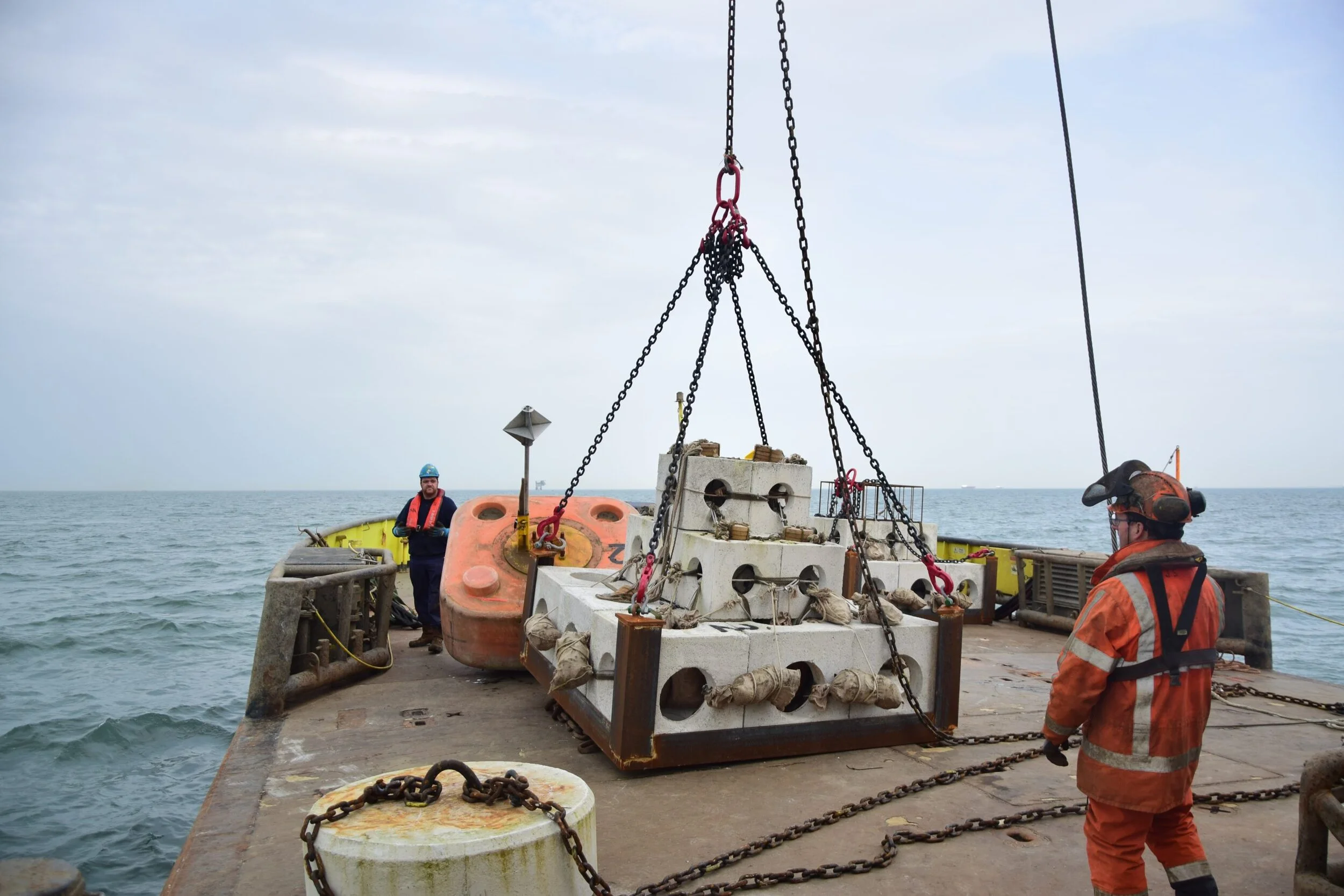 ARC MARINE — Ocean Impact Organisation