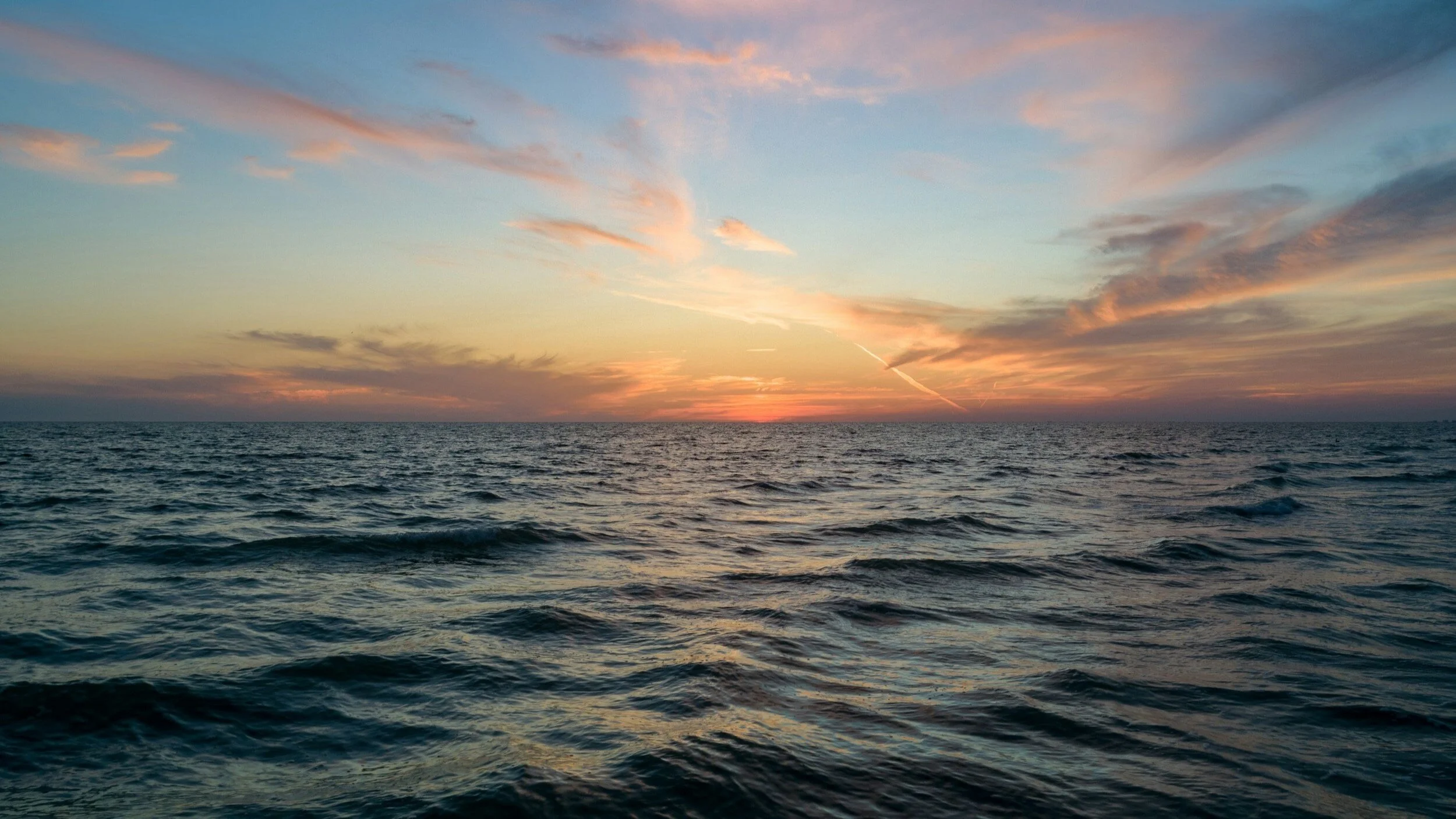 Everything You Need to Know About the High Seas Treaty (Updated ...