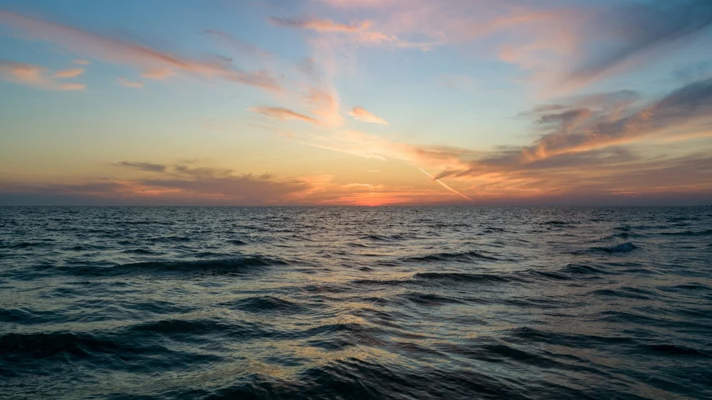 Everything You Need to Know About the High Seas Treaty (Updated ...