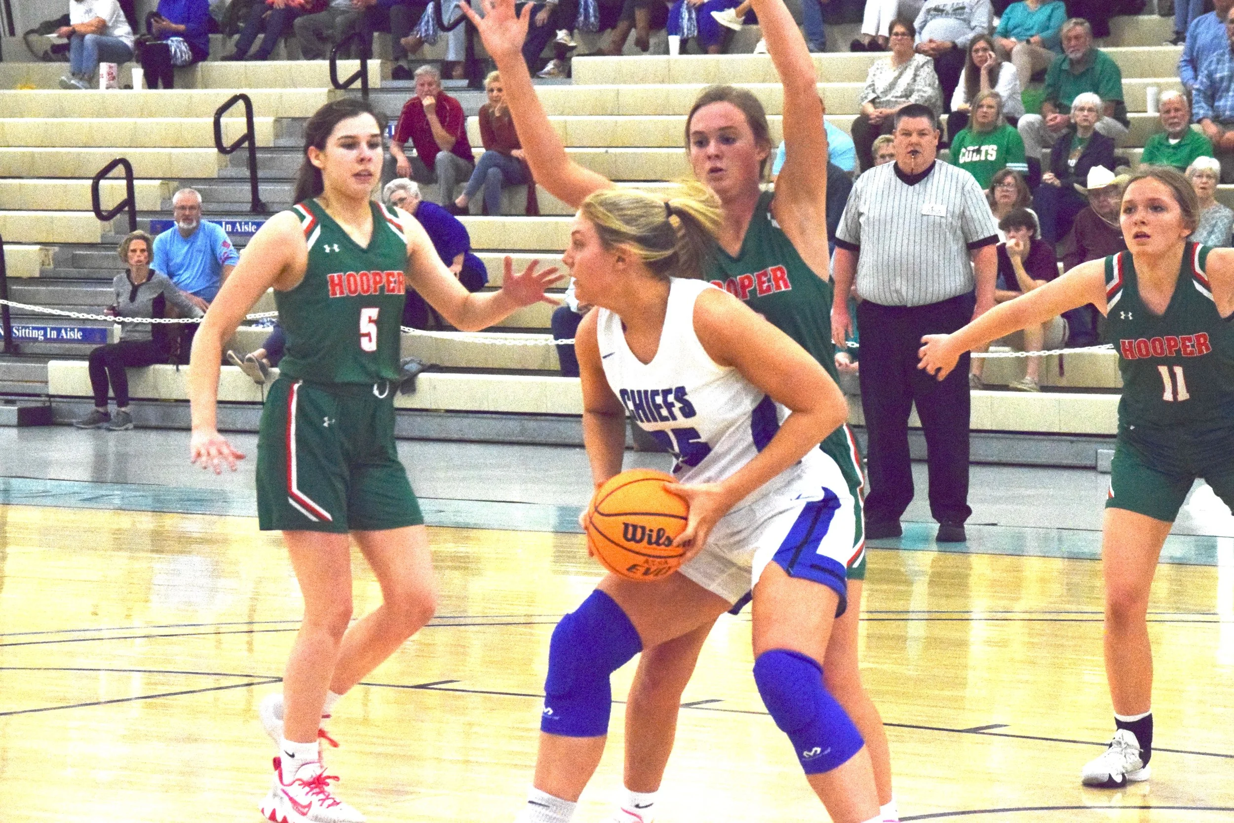 AISA GIRLS SEMIS: Edgewood near perfect in win over Sparta; Lowndes ...