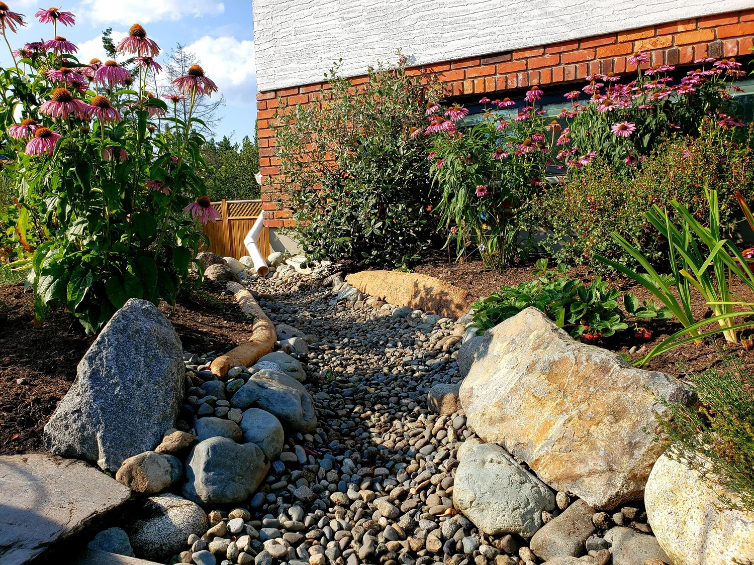 Stormwater Food Garden — Edible Landscapes Design - Landscaping in ...