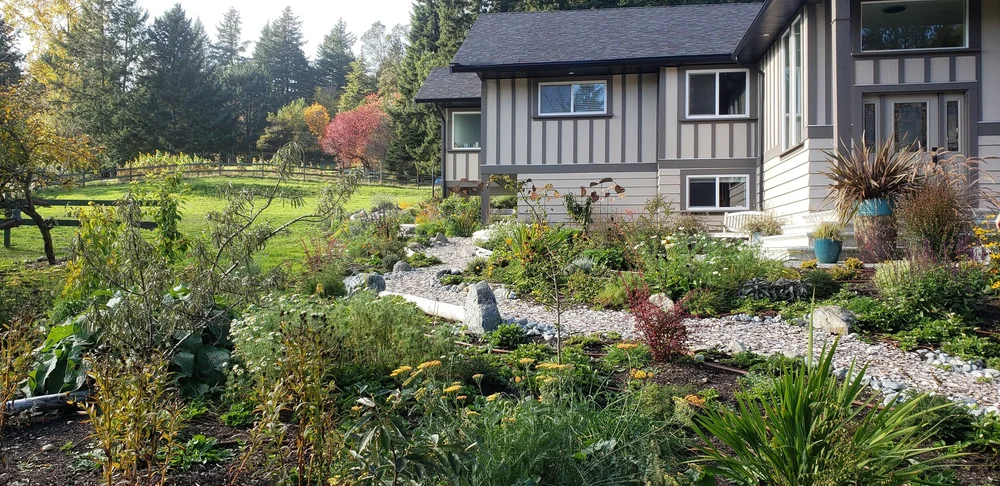 Frontyard Food Forest — Edible Landscapes Design - Landscaping in ...