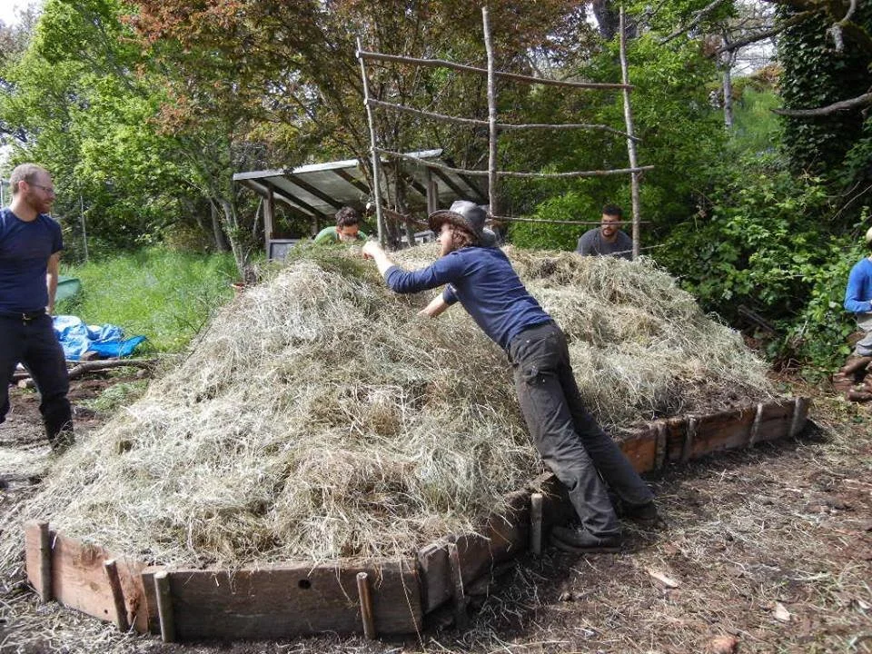 Custom Raised Beds — Edible Landscapes Design - Landscaping in Victoria BC