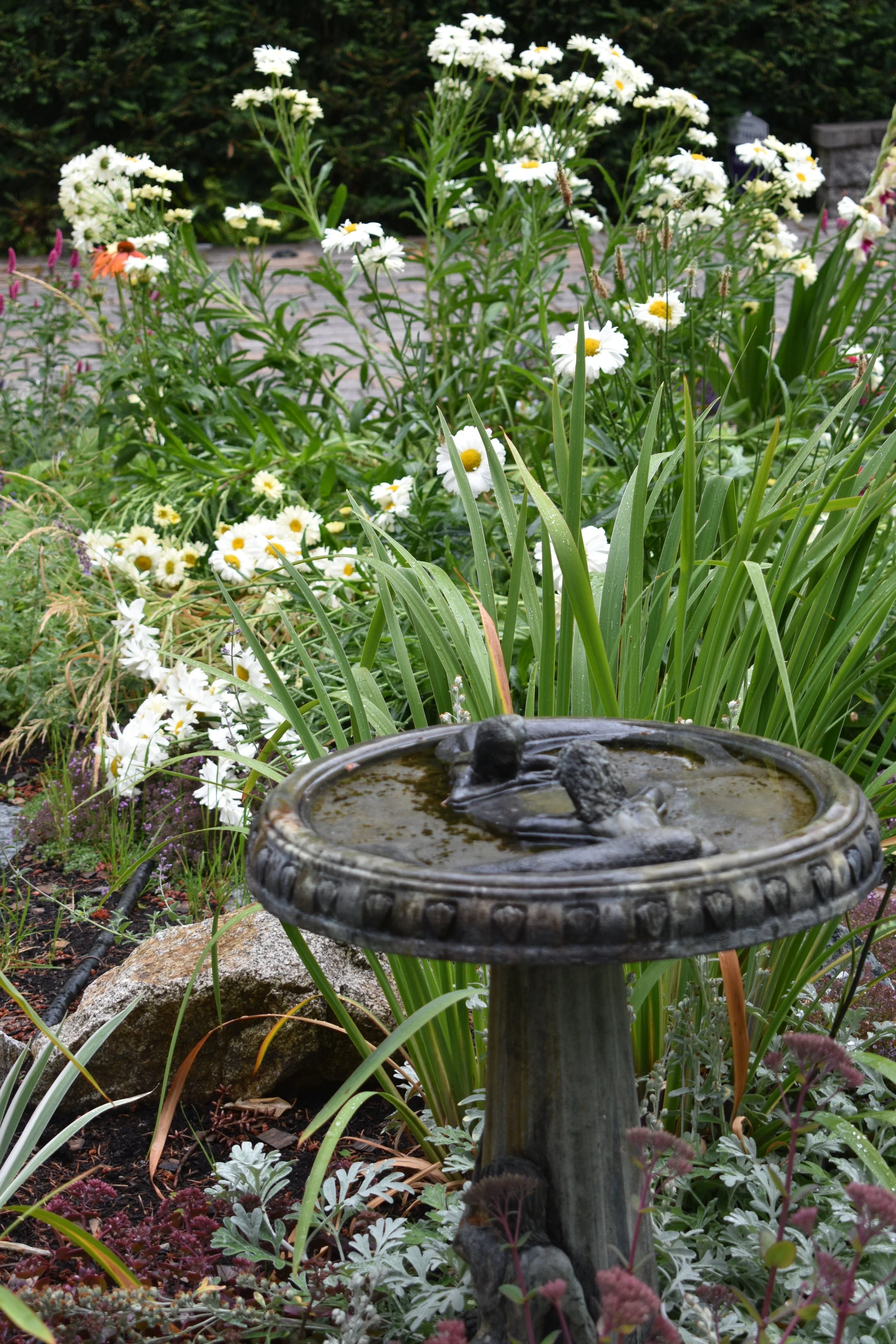 Front Yard Labyrinth Garden — Edible Landscapes Design - Landscaping in ...