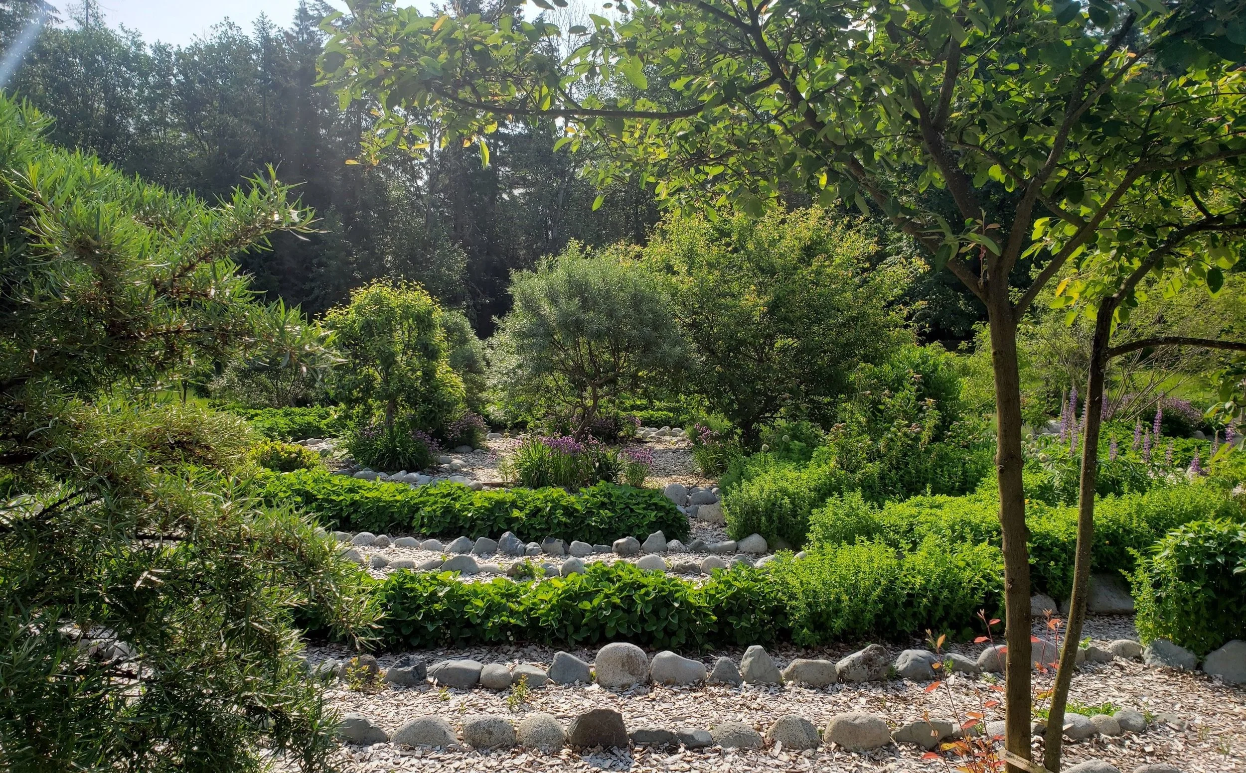 Edible Landscapes Design - Landscaping in Victoria BC