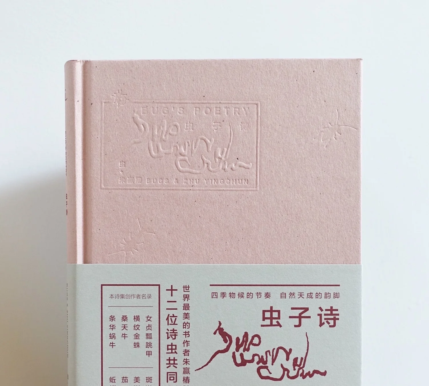 Bug's Poetry | ZHU YINGCHUN 朱赢椿