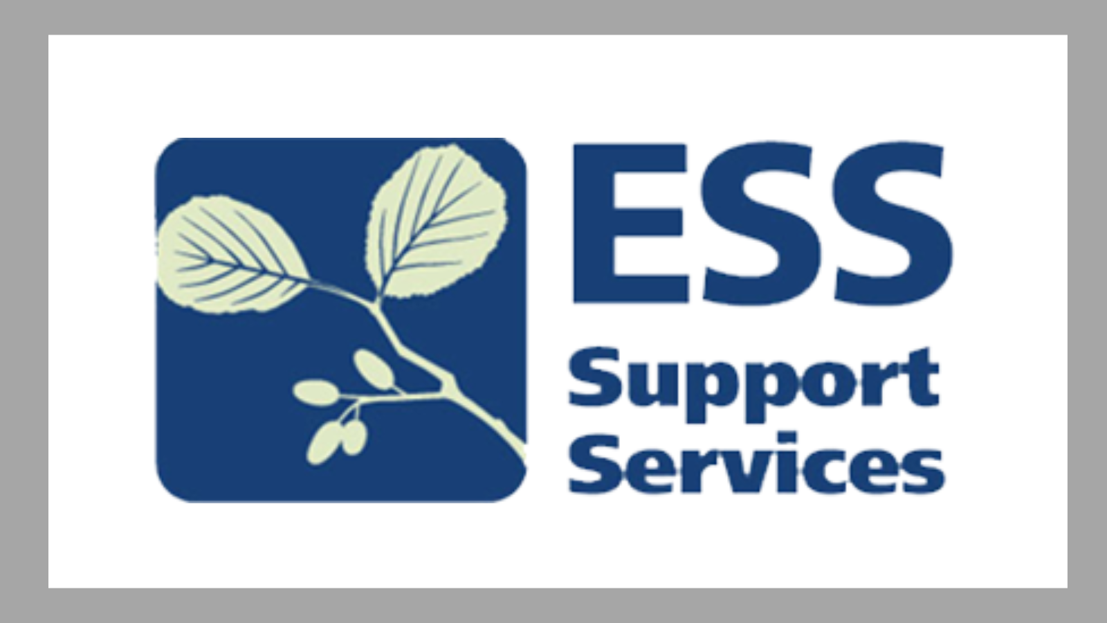 Our Members — West Toronto Ontario Health Team