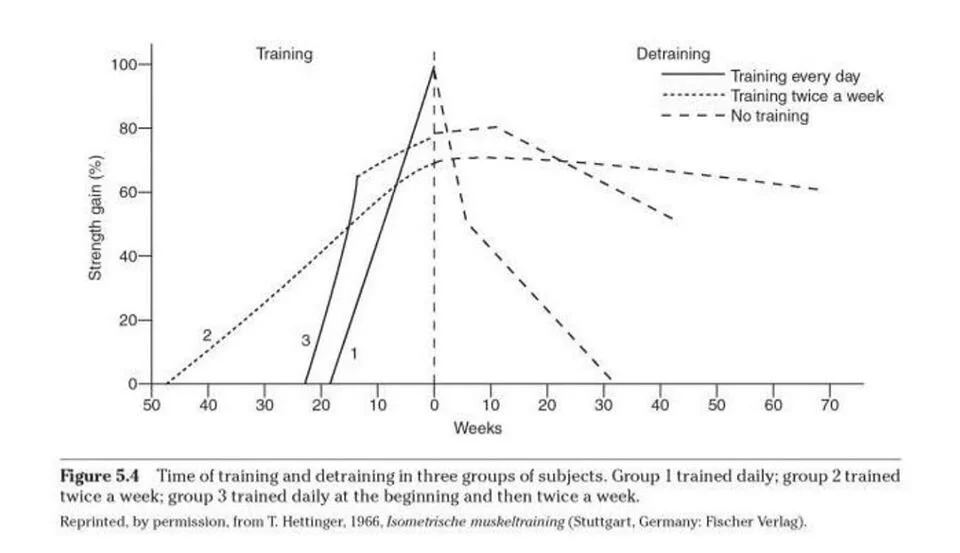 'Soon Ripe, Soon Rotten' | Enhance Strength Sustainably — Savage ...