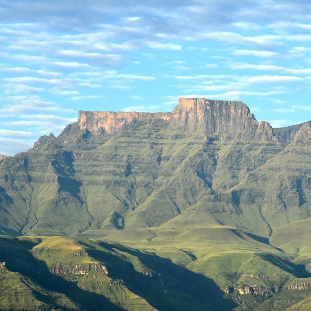 African Mountain Research Foundation