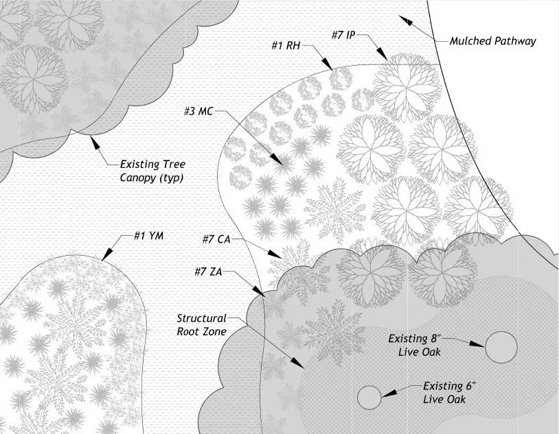 Landscape Design — First Coast Urban Forestry