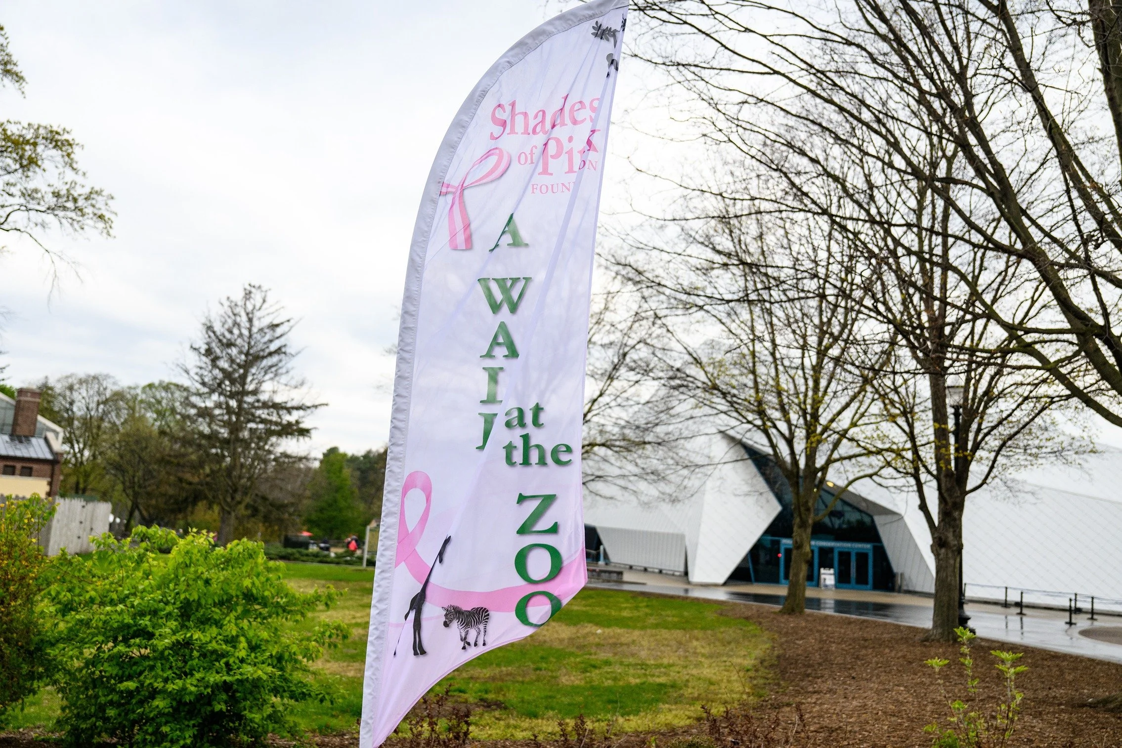 Shades of Pink Walk 2024 (Ferdinande Fotography) — Shades of Pink ...