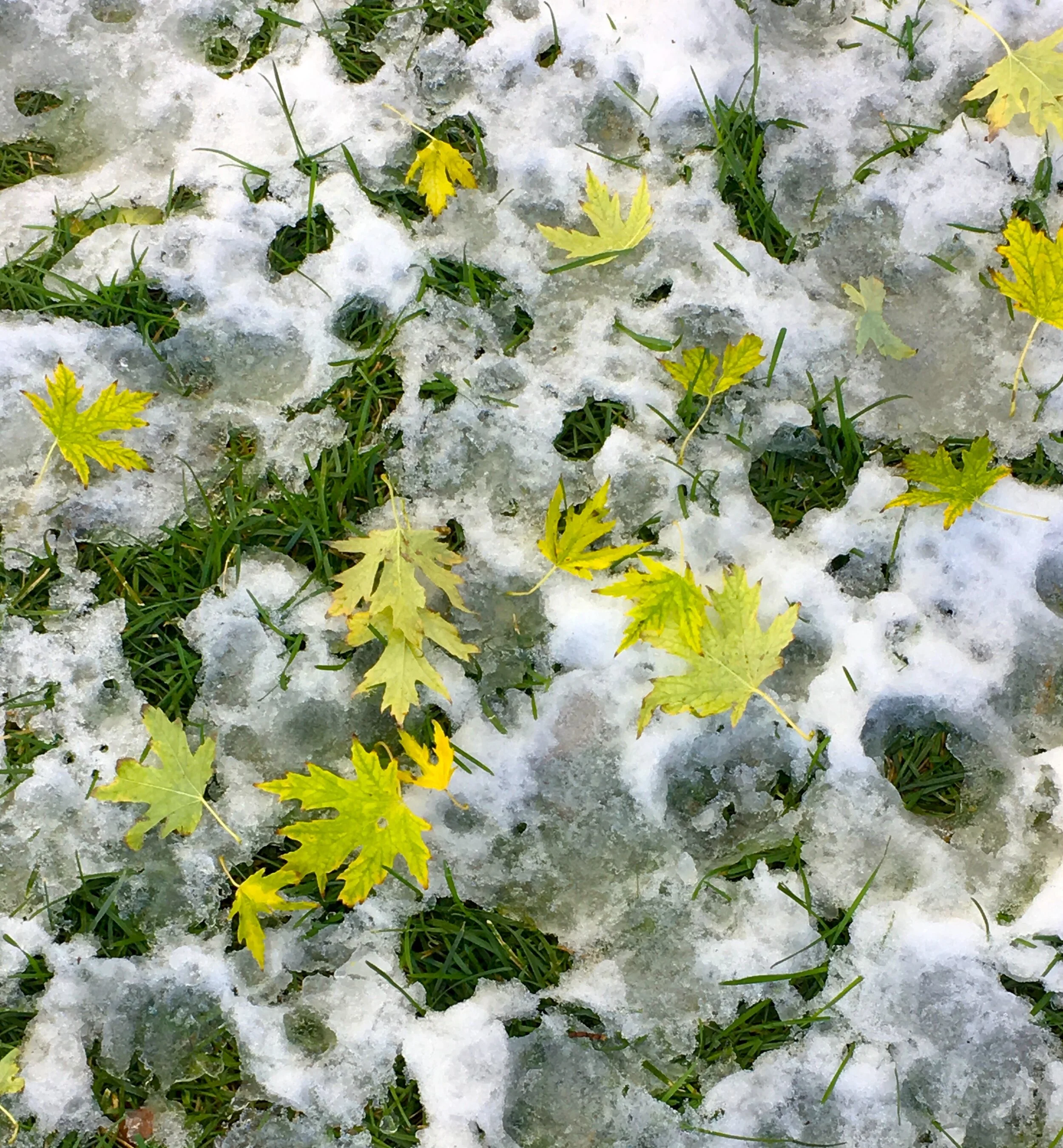 Earth & Sky — LIMINAL SPACE