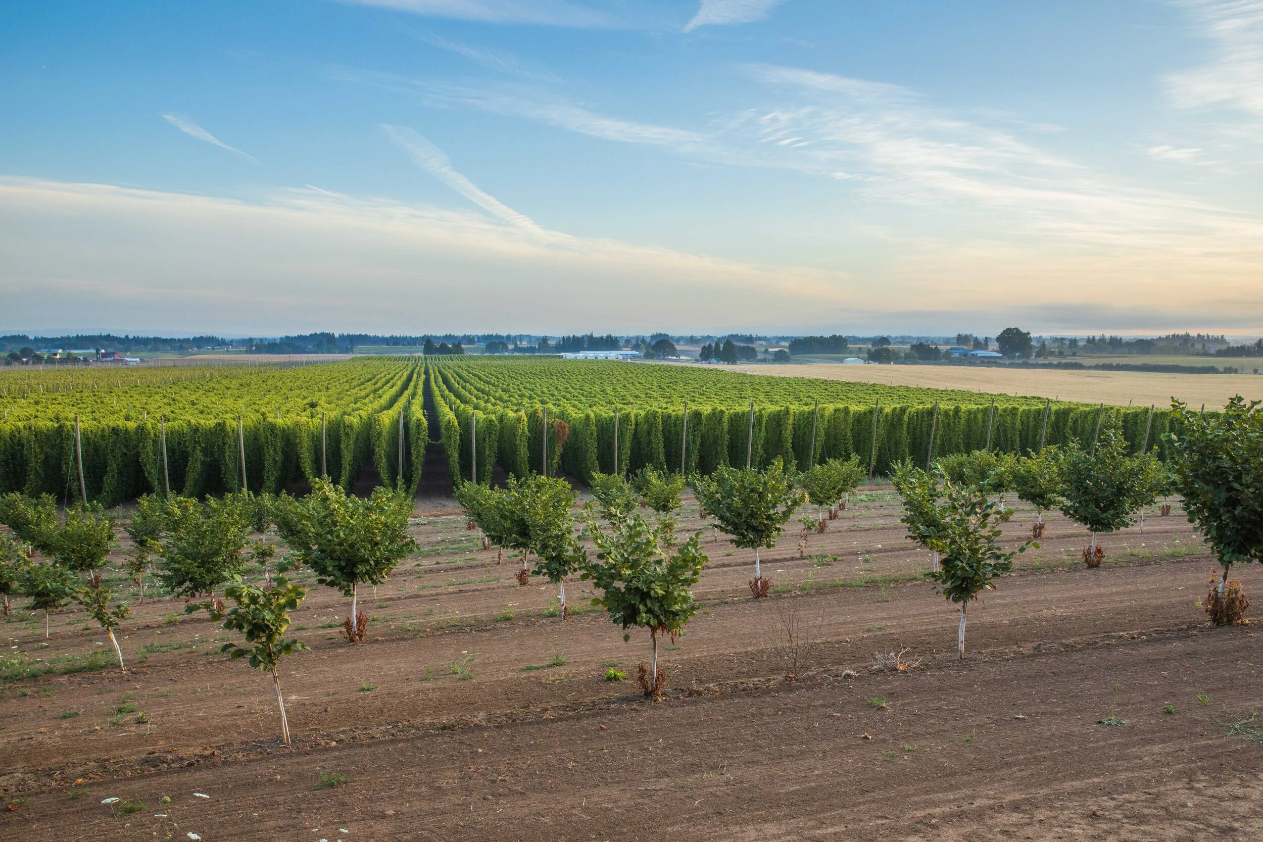 About Us — Coleman Agriculture