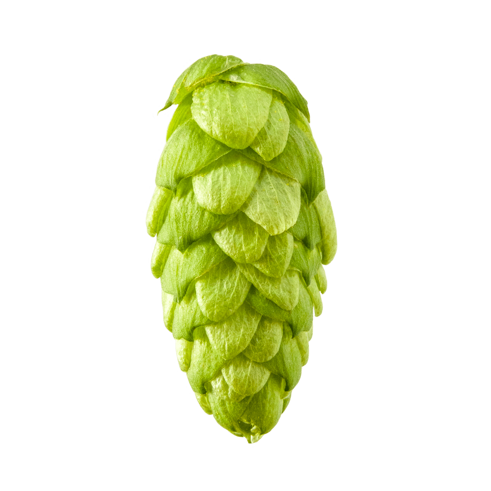 Hop Varieties — Coleman Agriculture