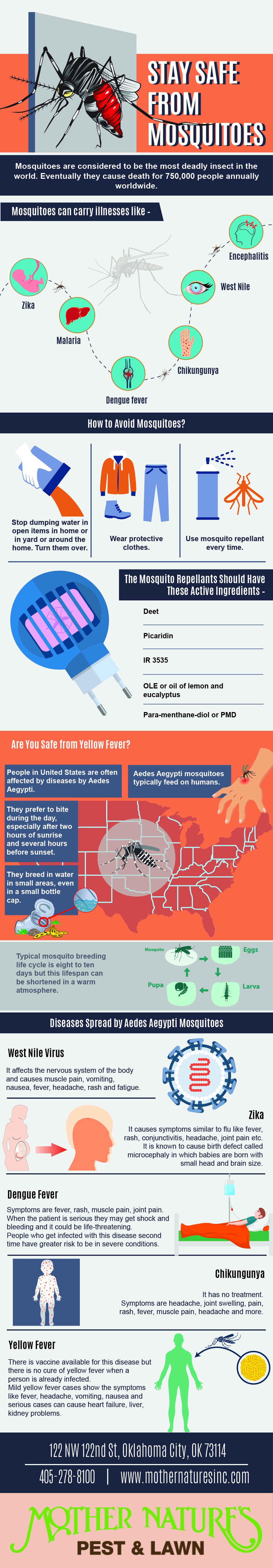 Stay Safe from Mosquitoes