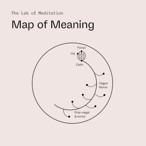 The Lab of Meditation