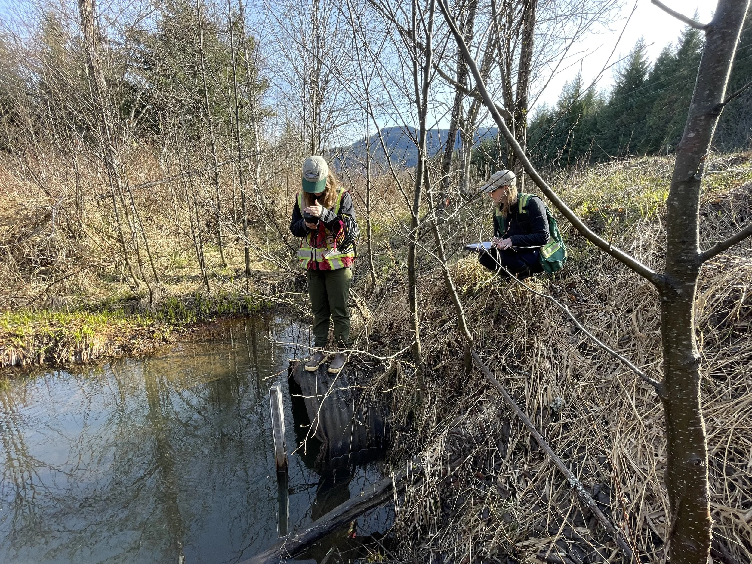 Watershed Water Quality Sampling — Lakelse Watershed Stewards Society
