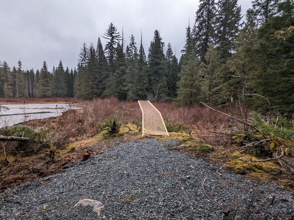 Jackpine Wetland Interpretive Trail — Lakelse Watershed Stewards Society