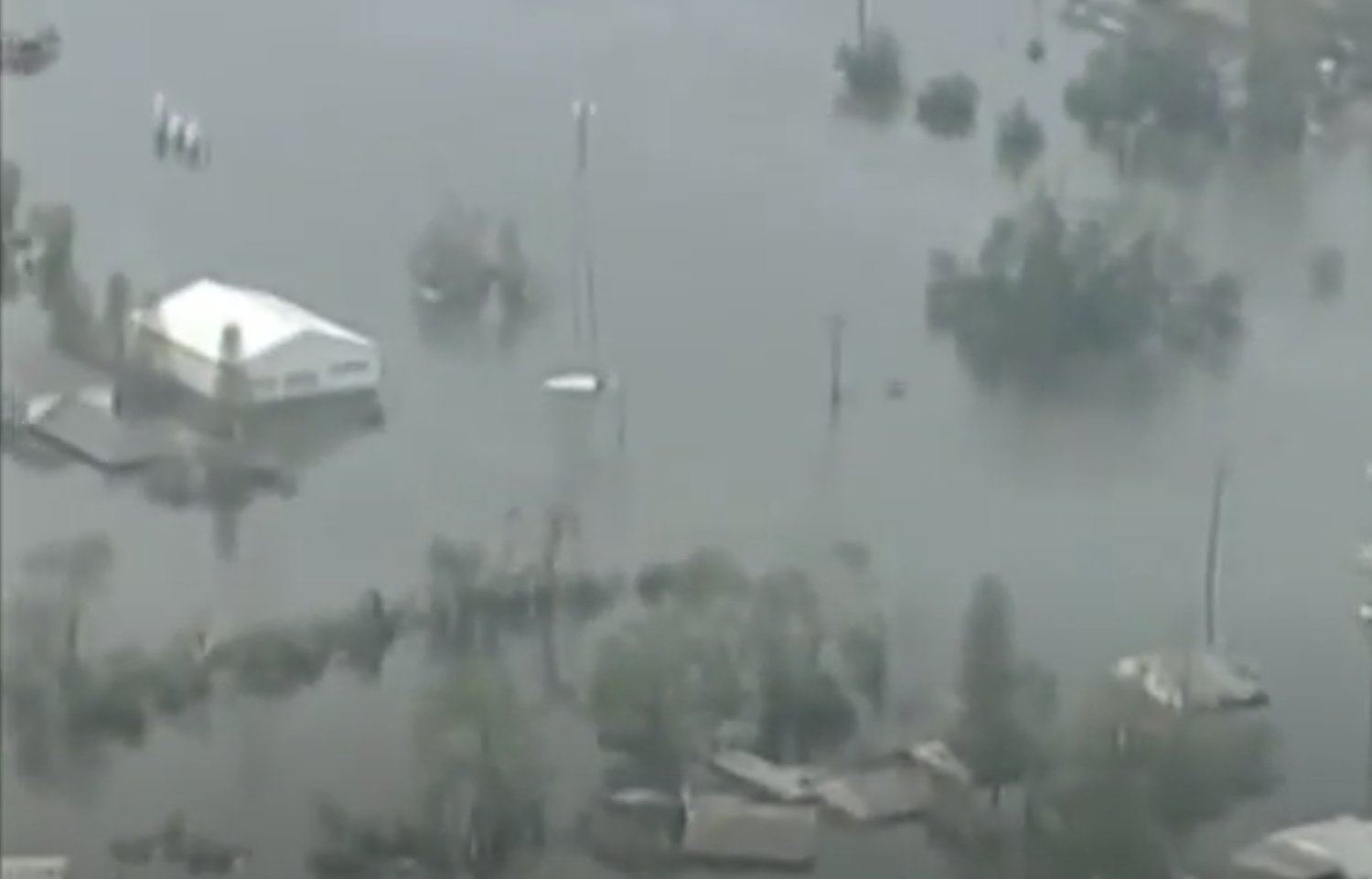 Videos — Buoyant Foundation Project