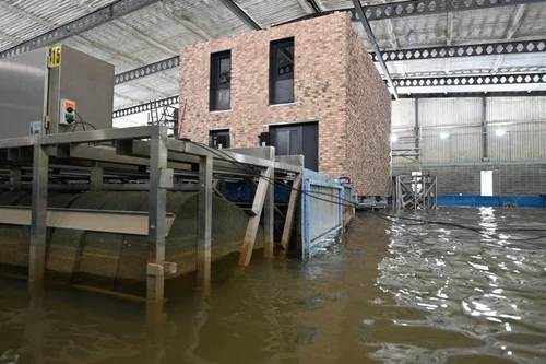 FloodSafe House — Buoyant Foundation Project