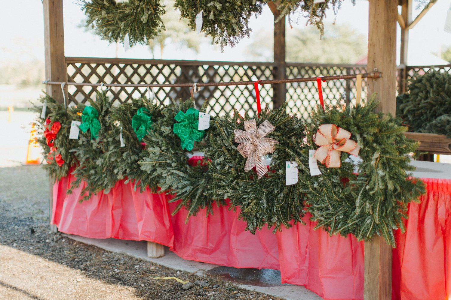 Christmas Season — Old Time Christmas Tree Farm