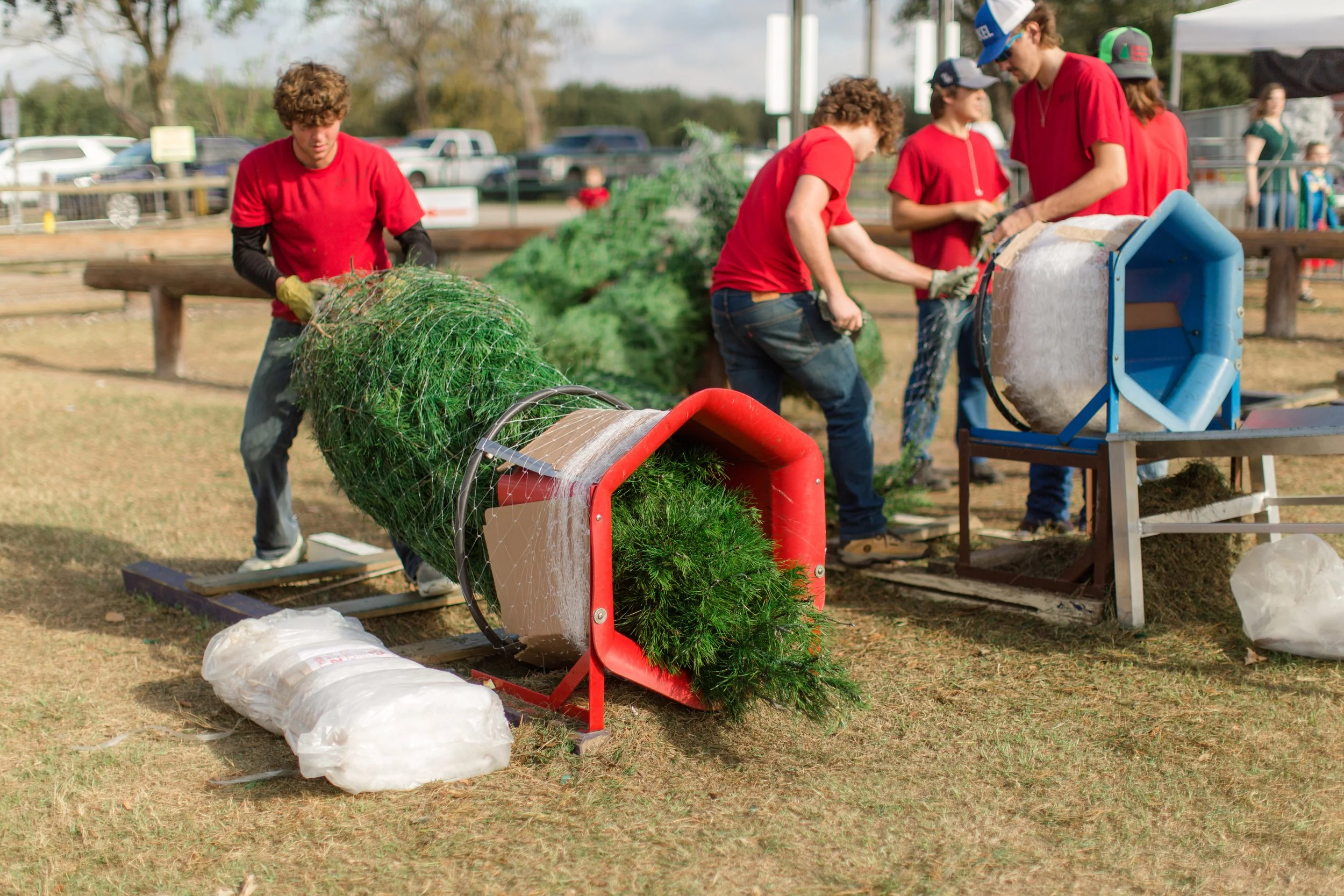 Employment — Old Time Christmas Tree Farm
