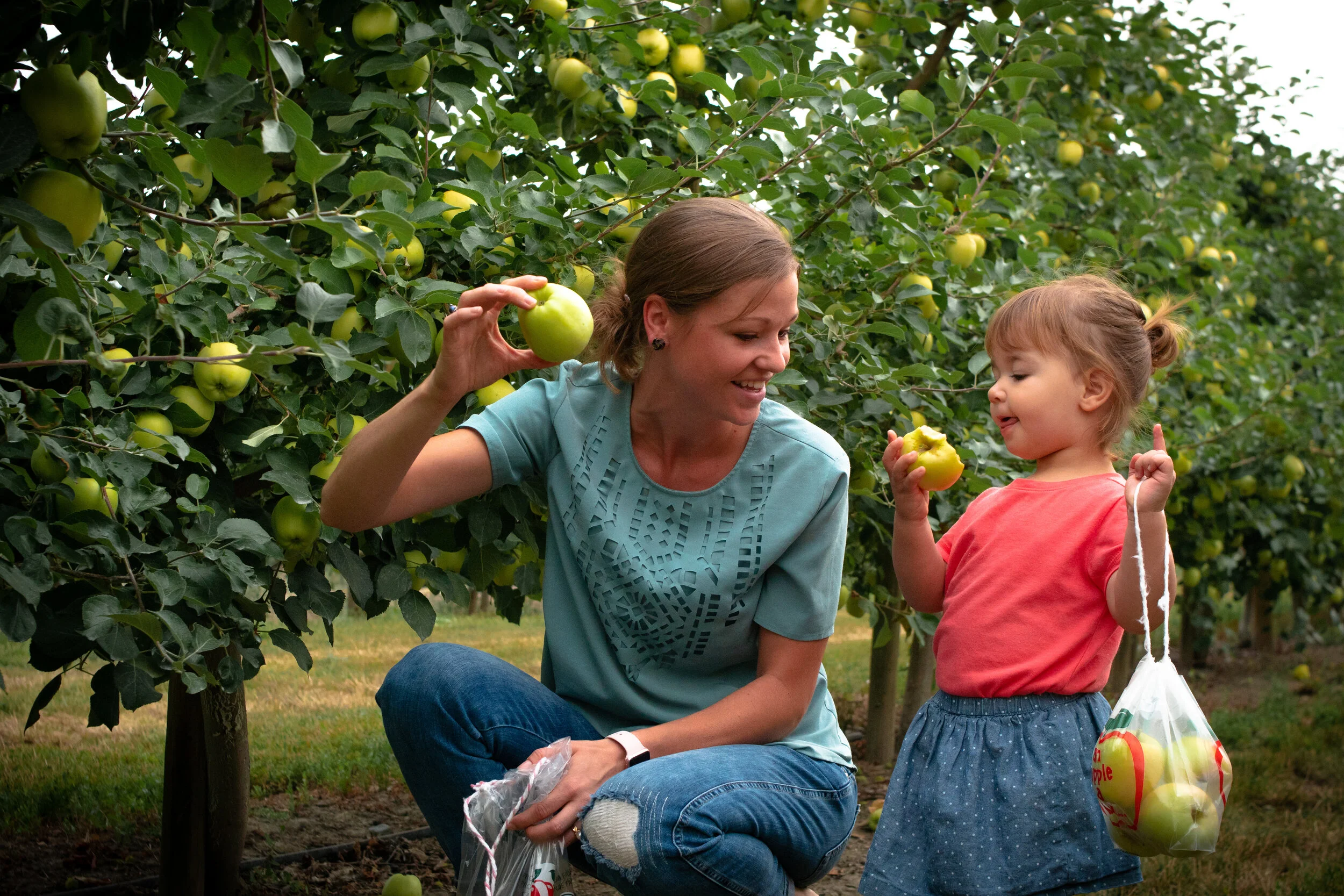 Orchard Tours — Davison Orchards