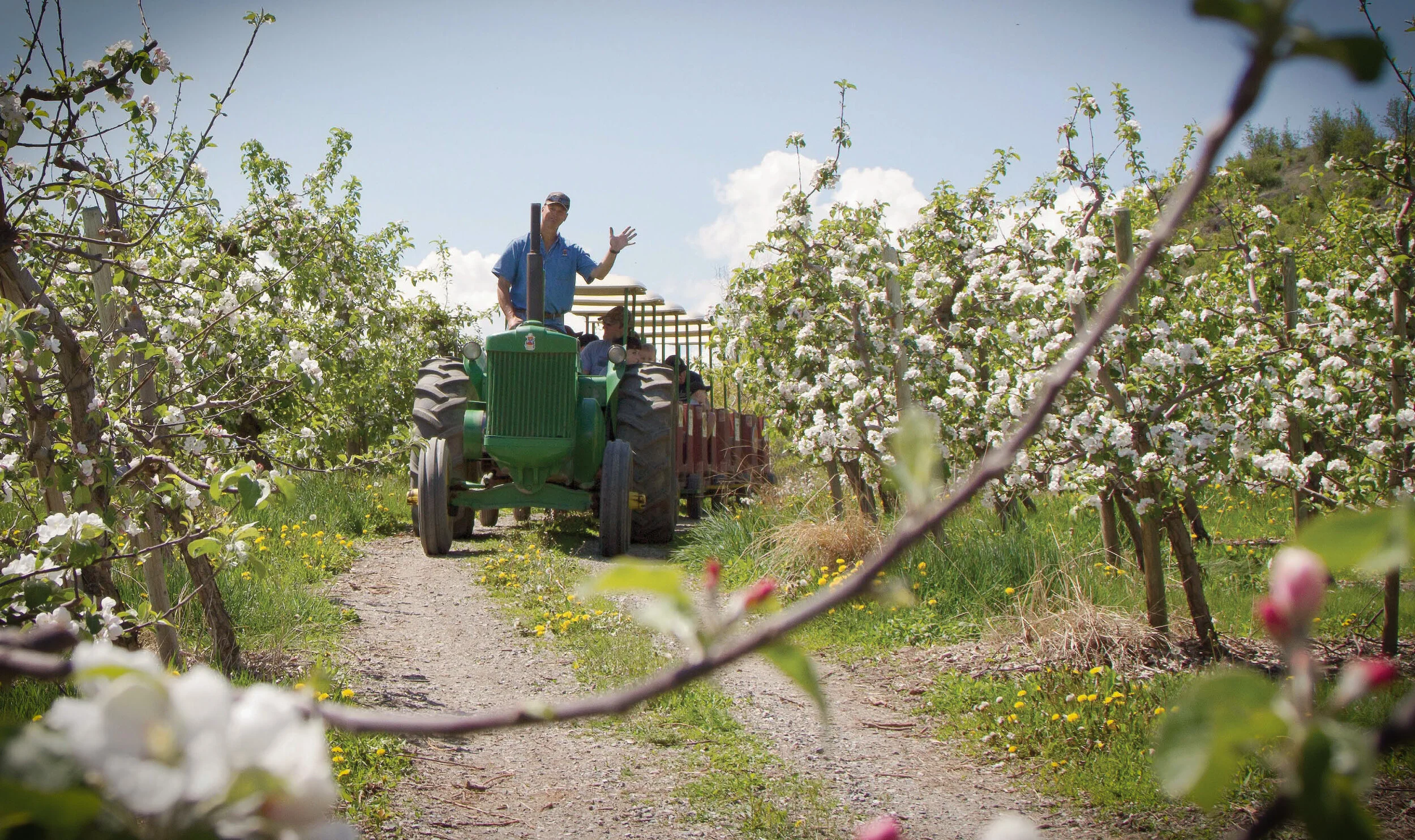 Events Page — Davison Orchards