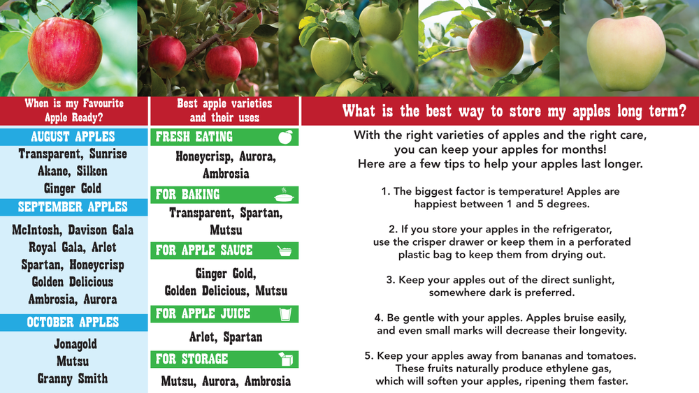 Produce in Season — Davison Orchards