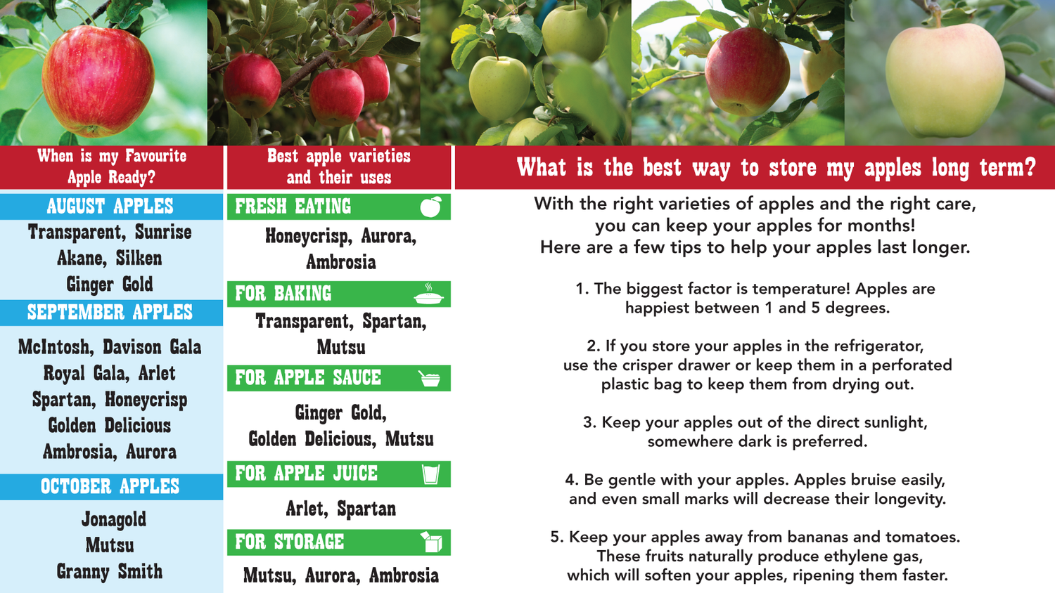 Produce in Season — Davison Orchards