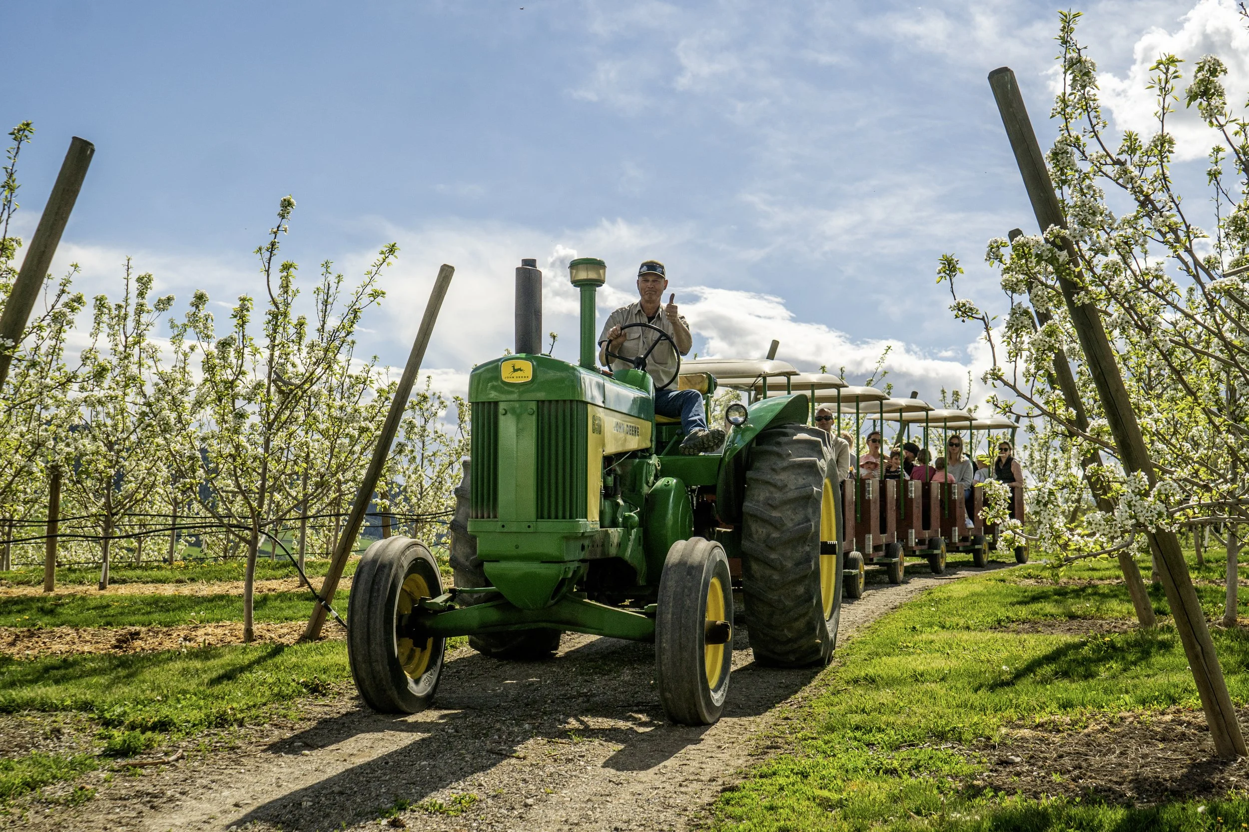 Orchard Tours — Davison Orchards