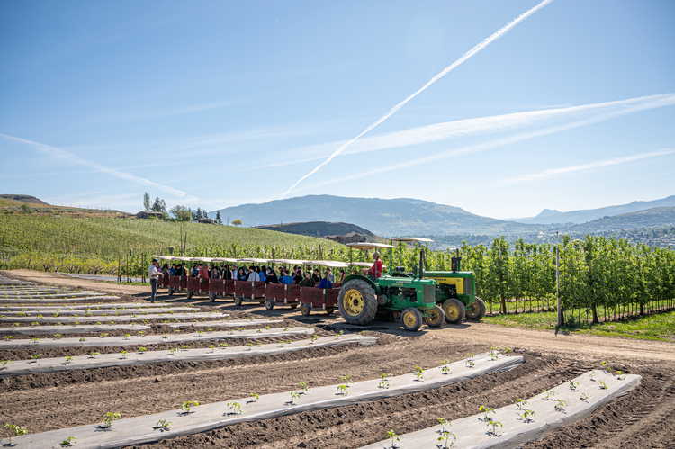 Orchard Tours — Davison Orchards