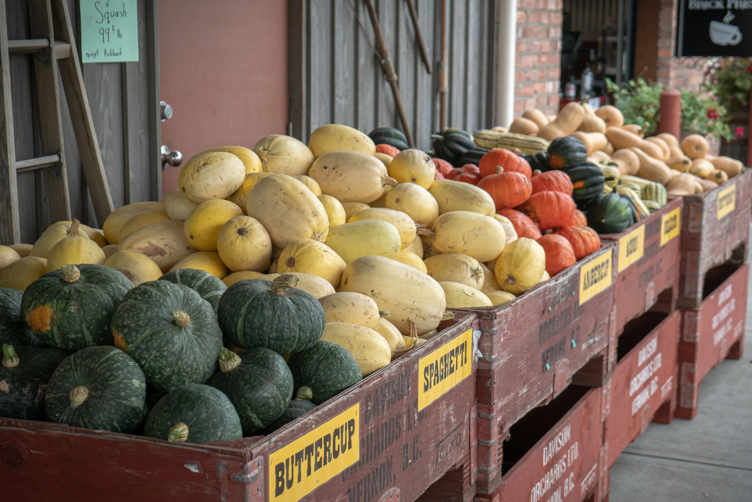 Produce in Season — Davison Orchards