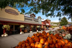 Davison Orchards