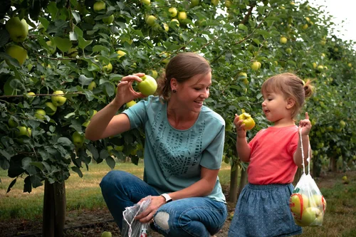 Plan Your Visit — Davison Orchards